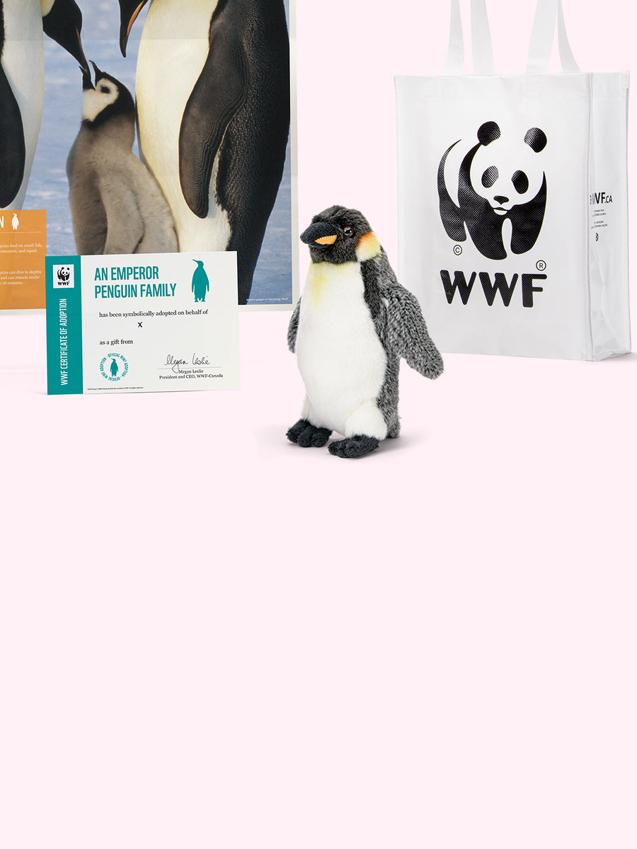 Symbolically Adopt a Species