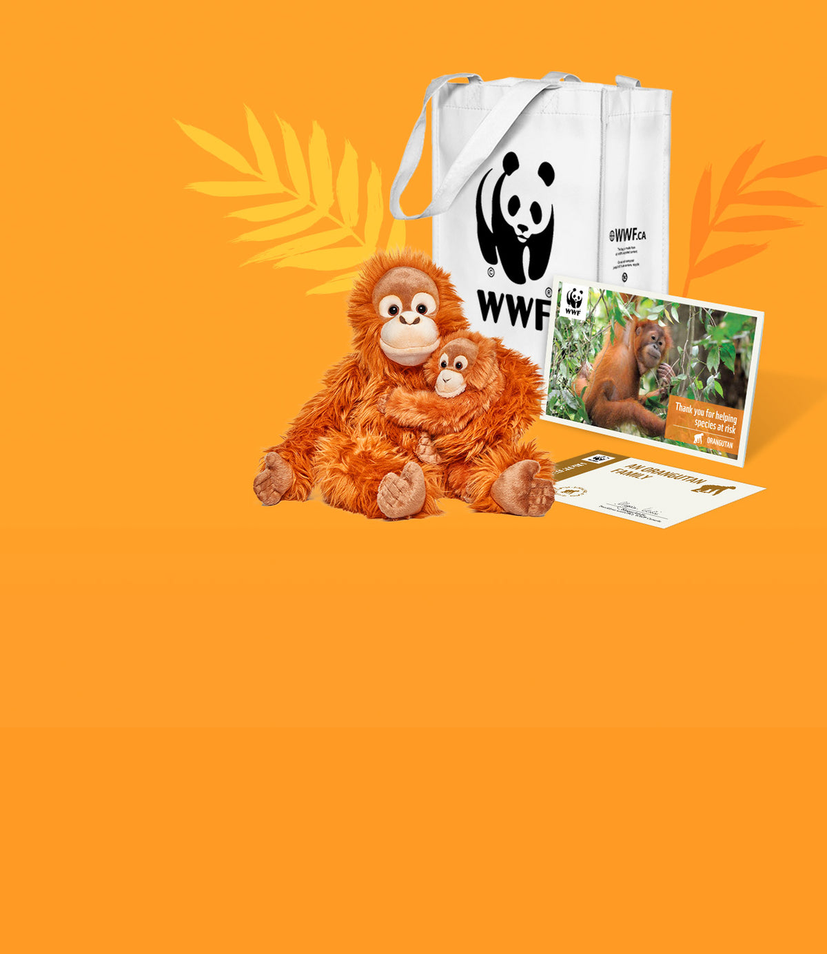 Family Wildlife Adoption Kits with Plush & Certificate
