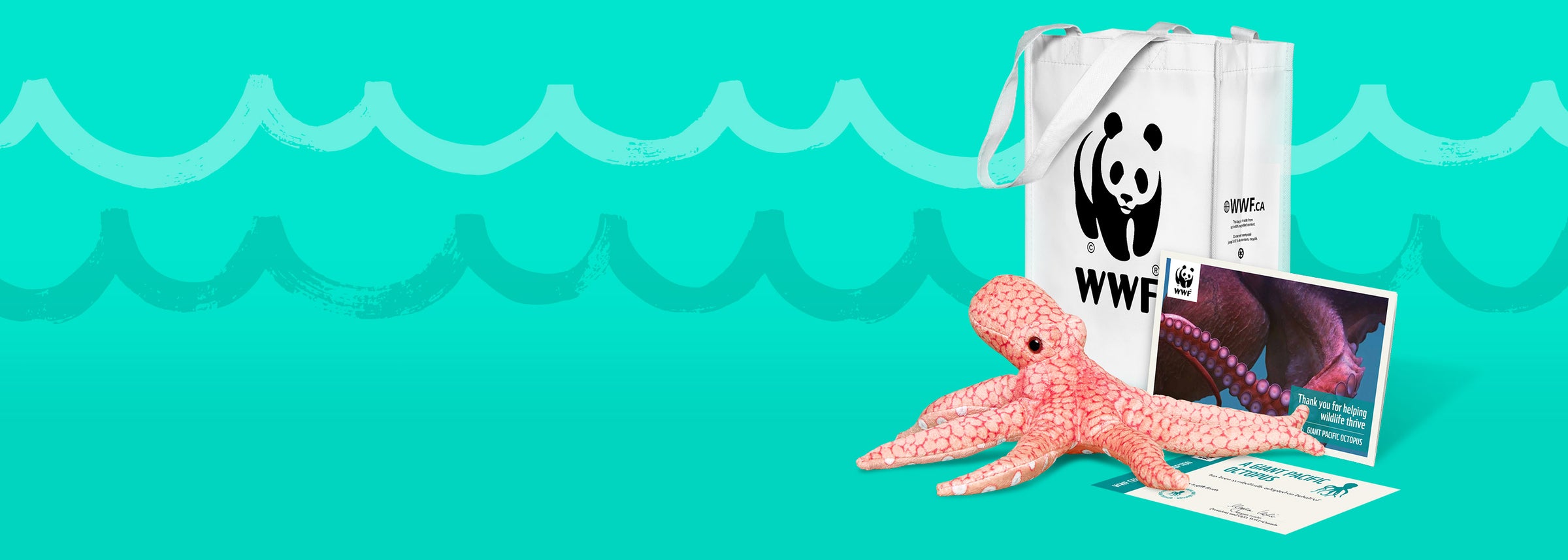 Individual Wildlife Adoption Kits with Plush & Certificate