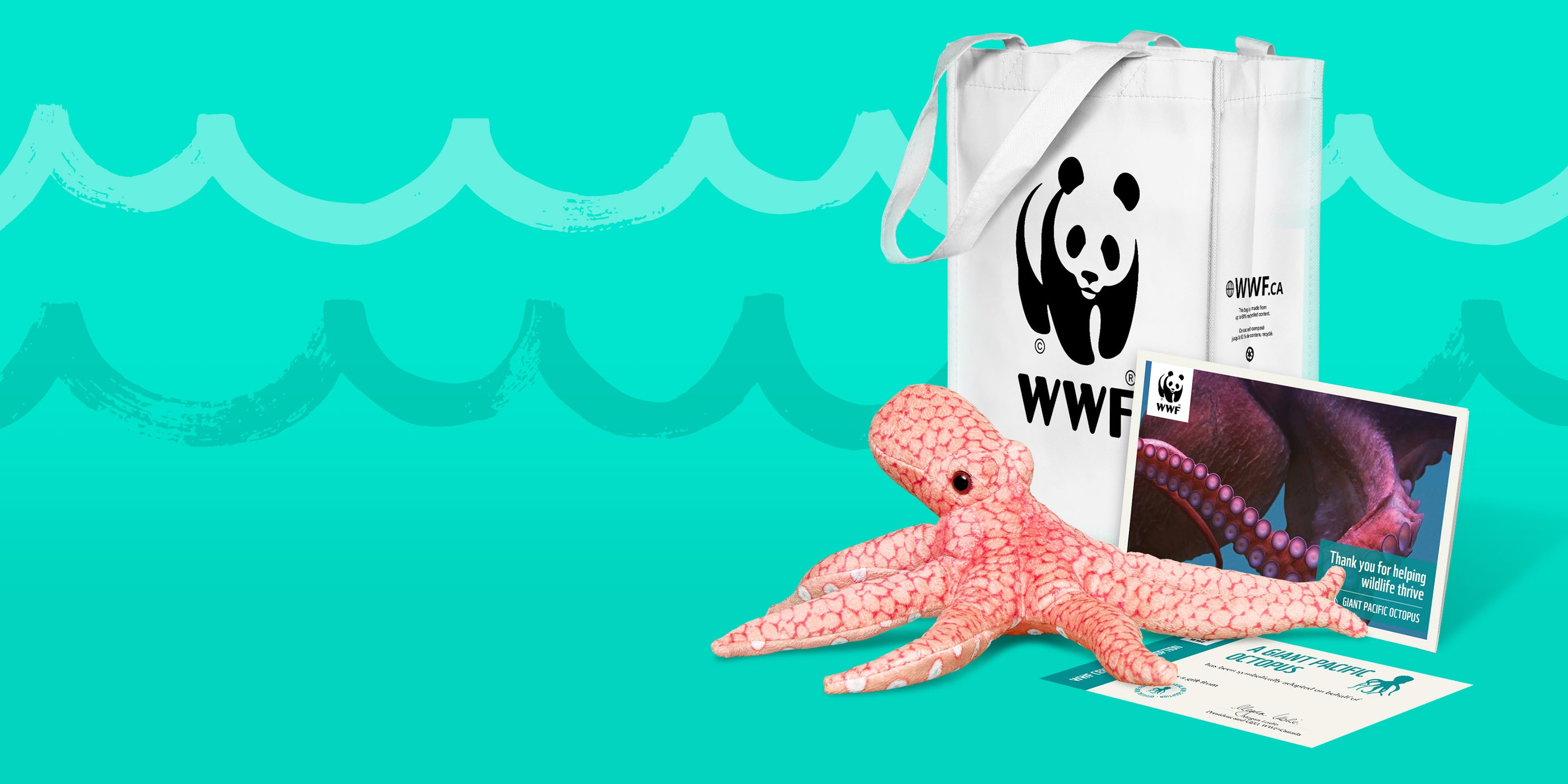 Wildlife Adoptions | Symbolically Adopt an Animal