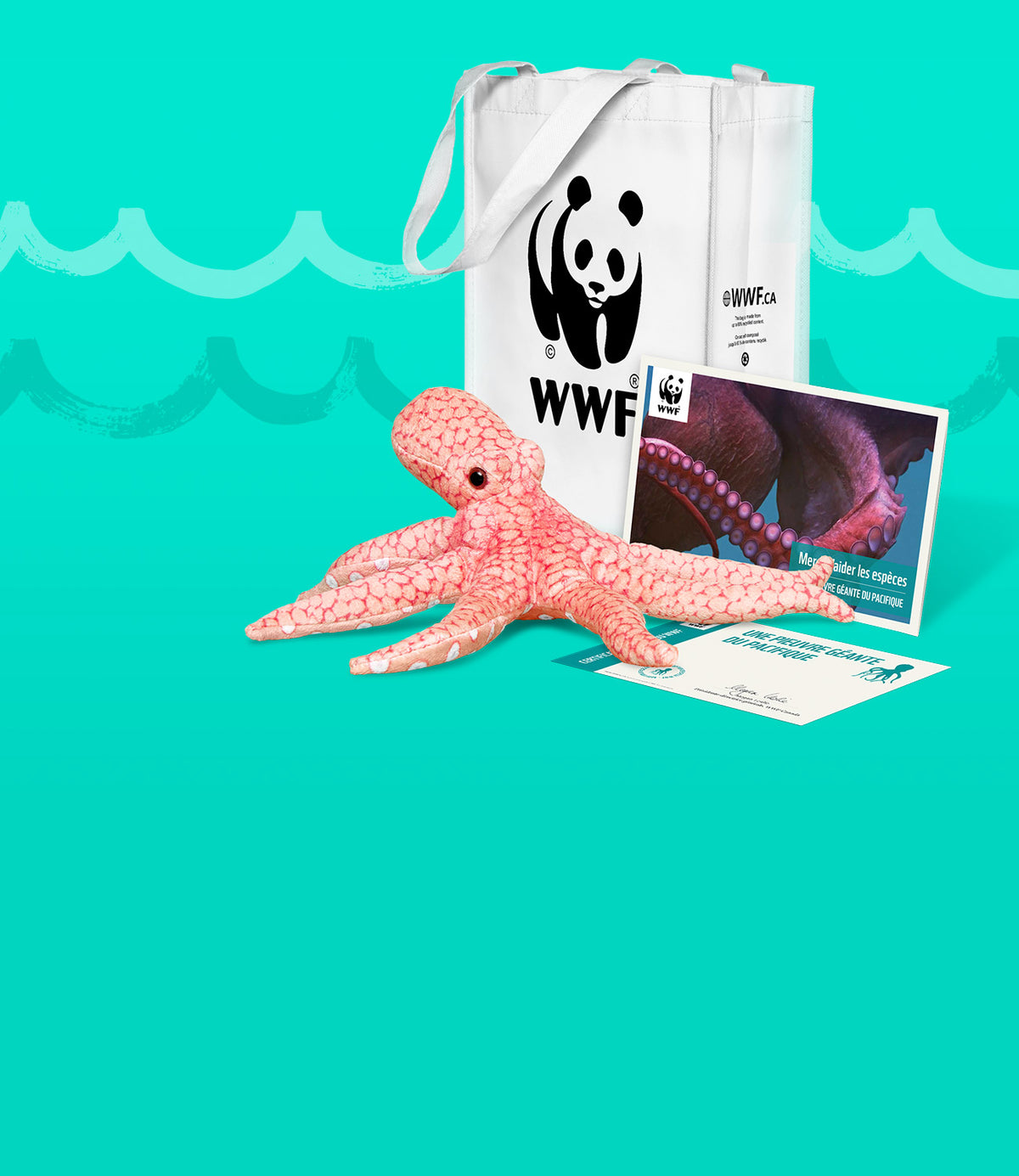 Individual Wildlife Adoption Kits with Plush & Certificate