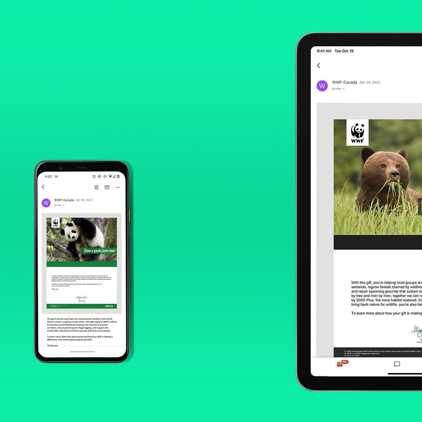 Adopt a Giant Panda | Plush & Certificate Gift Kits