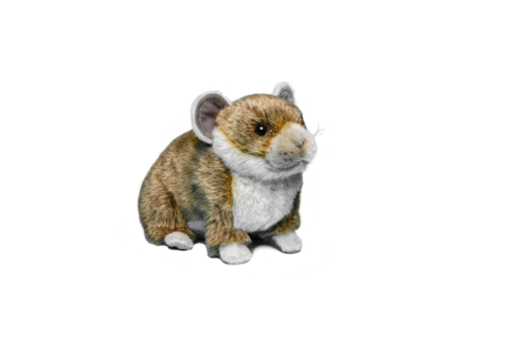 Adopt a Collared Pika | Plush & Certificate Gift Kits