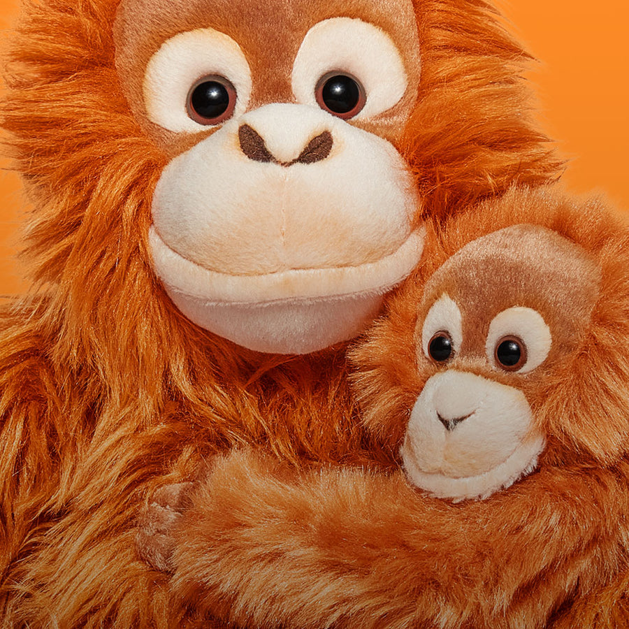 Family Wildlife Adoption Kits with Plush & Certificate