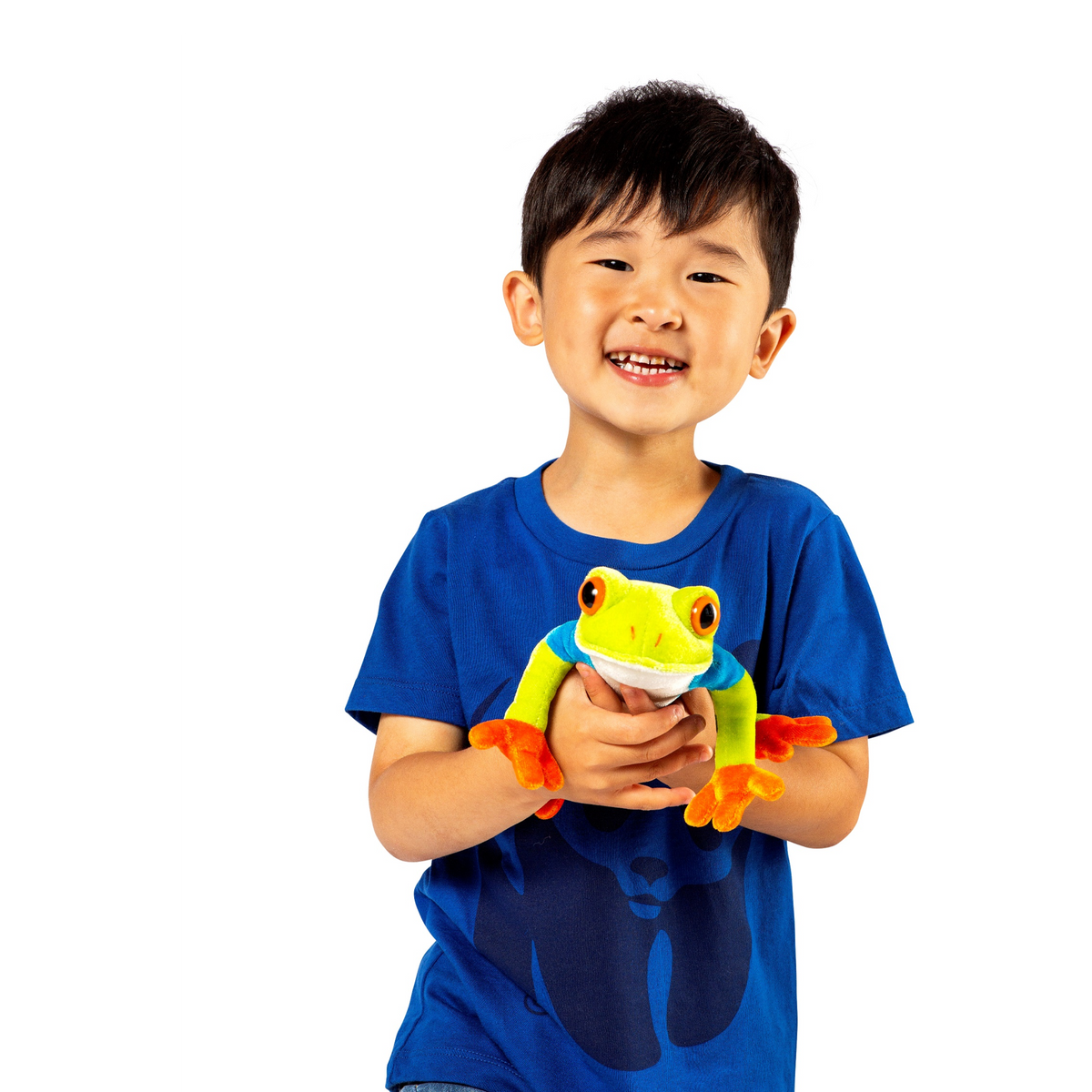 Adopt a Red-Eyed Tree Frog | Plush & Certificate Gift Kits