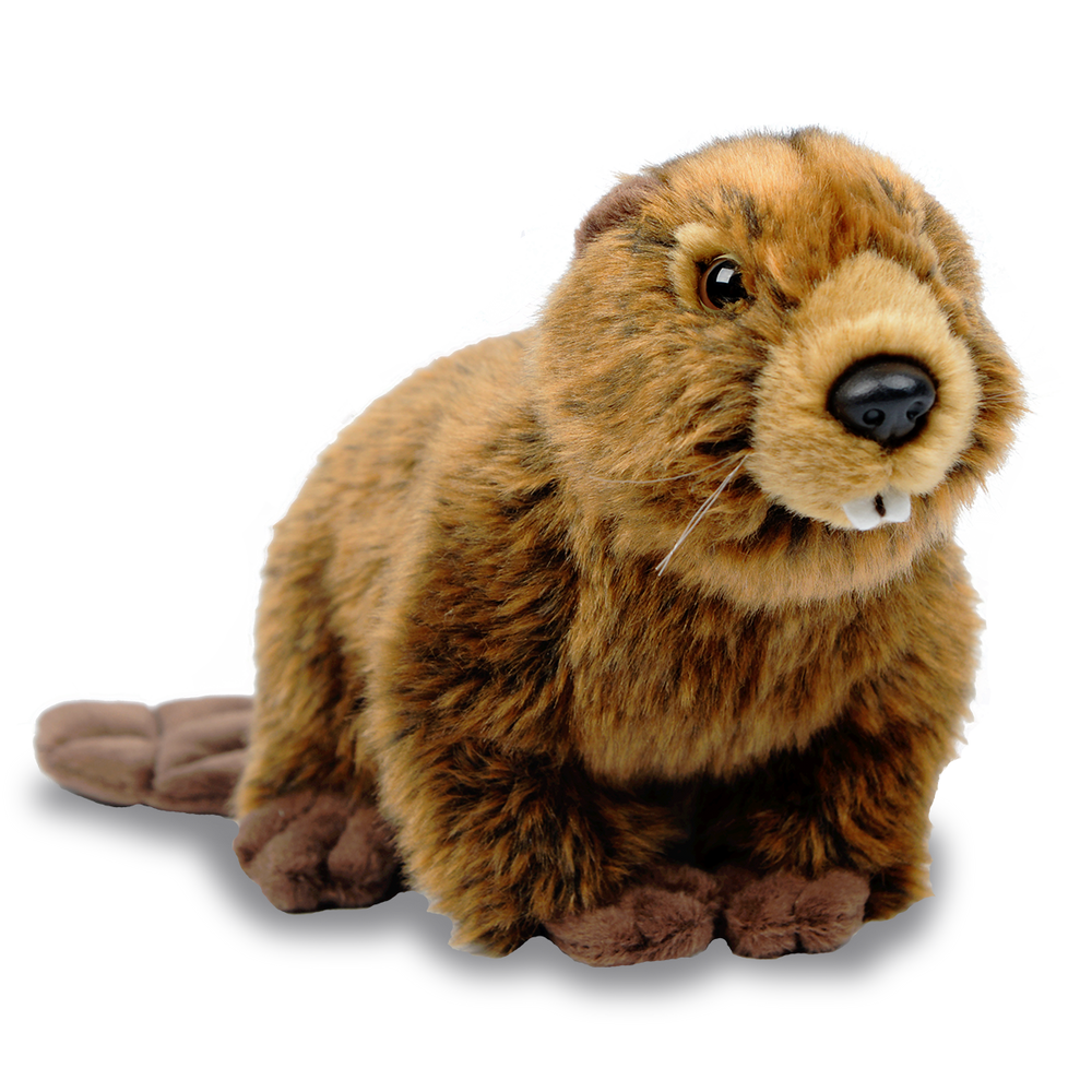 Adopt a Beaver | Plush & Certificate Gift Kits