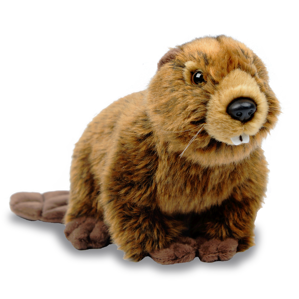 Adopt a Beaver | Plush & Certificate Gift Kits