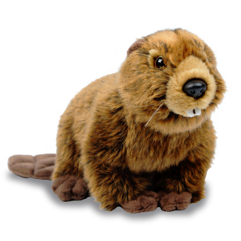 Adopt a Beaver | Plush & Certificate Gift Kits