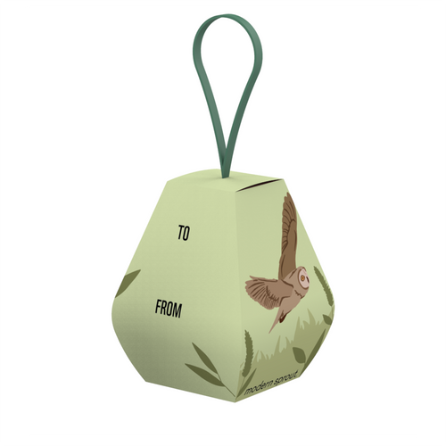 Ontario Native Seed Pack | WWF-Canada