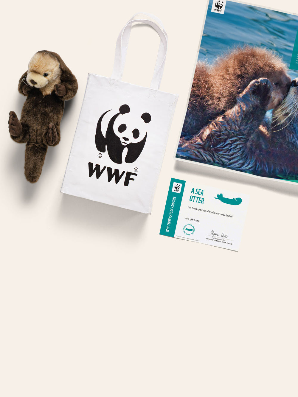 Wildlife Adoptions | Symbolically Adopt an Animal