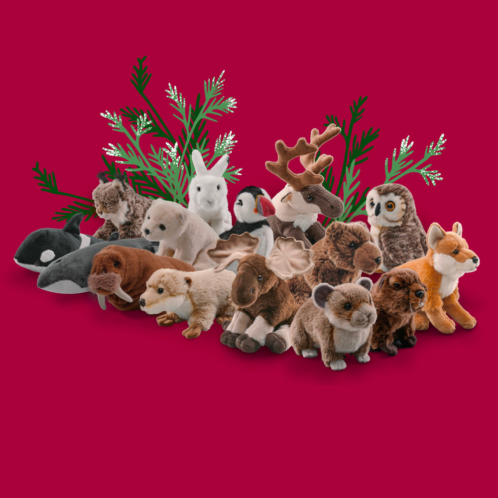 ChicoBag travel backpack