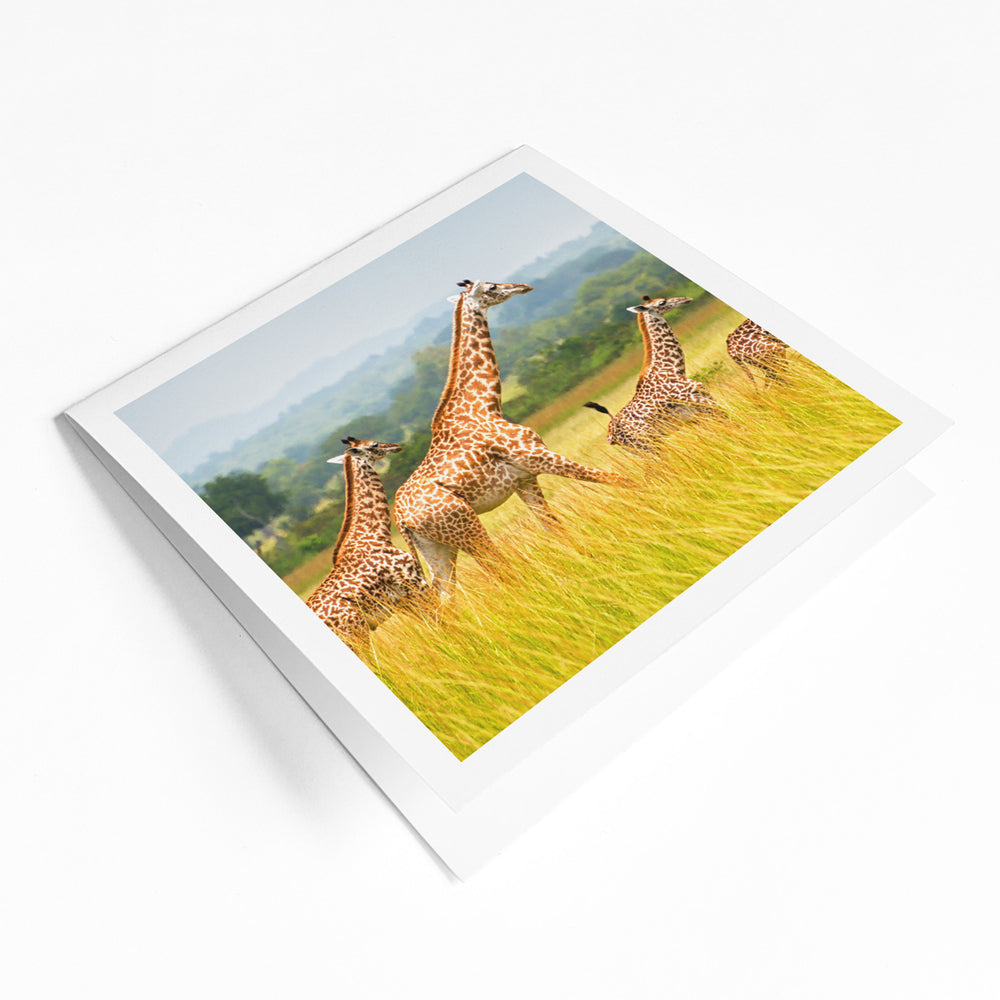 Wildlife Greeting Cards | WWF-Canada