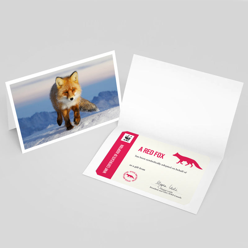 Red Fox Adoption Card | Personalized Certificate Gifts