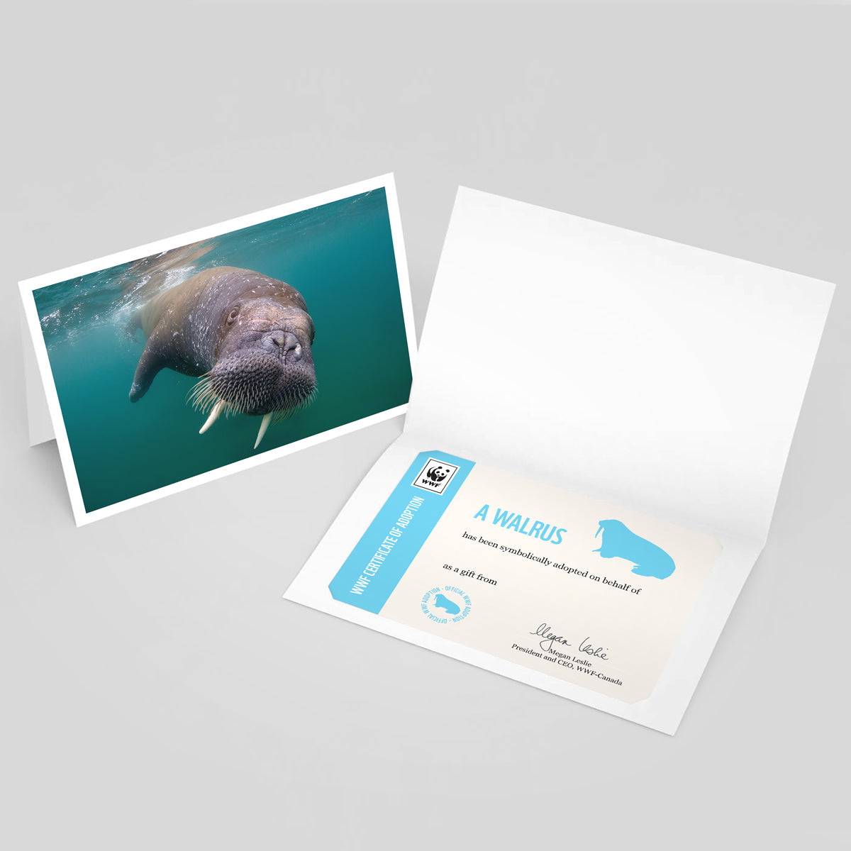 Walrus Adoption Card | Personalized Certificate Gifts