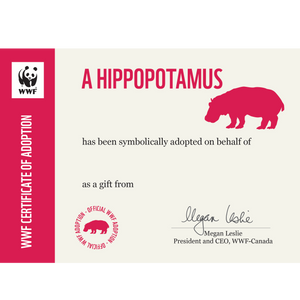 Adopt a Hippo | WWF-Canada