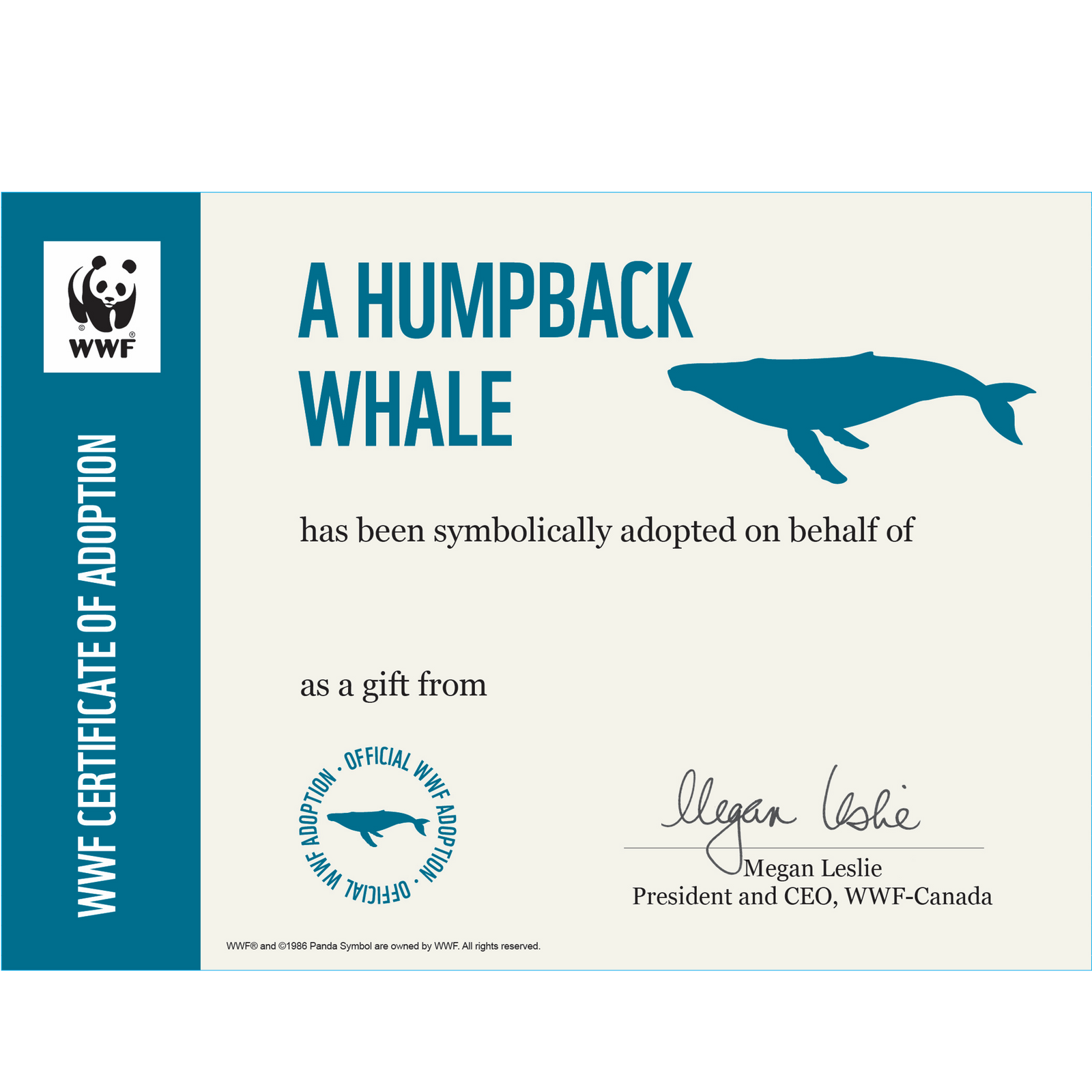 Adopt a Humpback Whale | Plush & Certificate Gift Kits