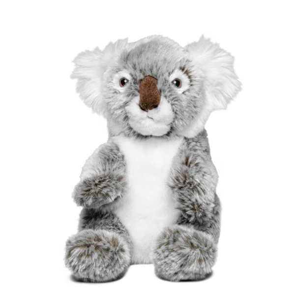 Adopt a Koala | Plush & Certificate Gift Kits