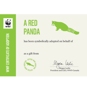 Adopt a Red Panda | Plush & Certificate Gift Kits