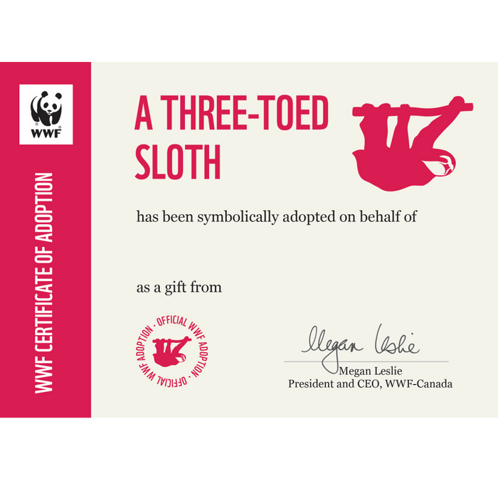 Adopt a Sloth | Plush & Certificate Gift Kits