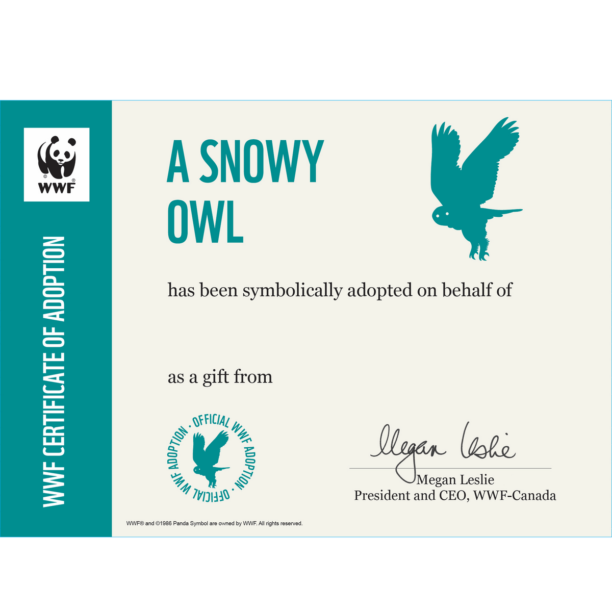 Adopt a Snowy Owl