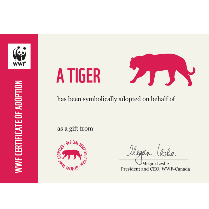 Adopt a Tiger | Plush & Certificate Gift Kits