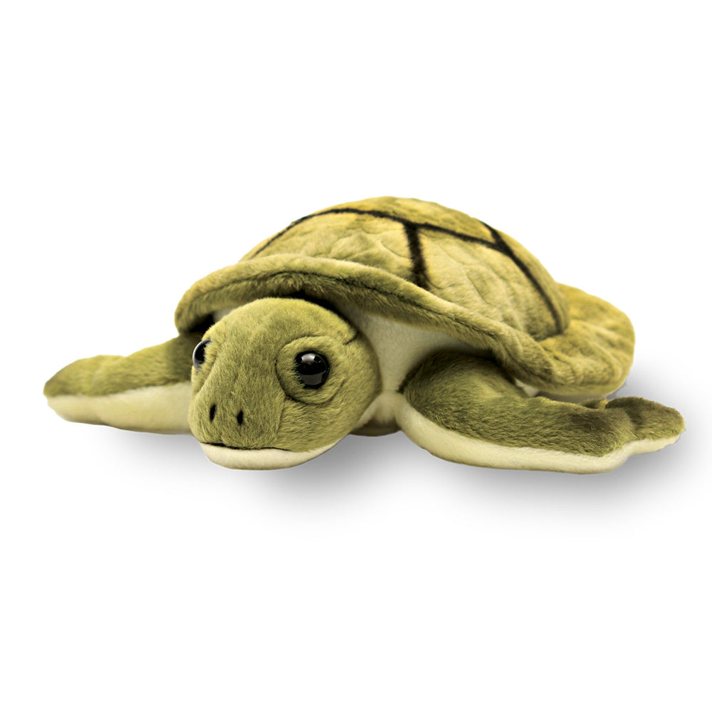 Adopt a Sea Turtle | Plush & Certificate Gift Kits