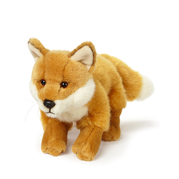 Adopt a Red Fox | WWF-Canada